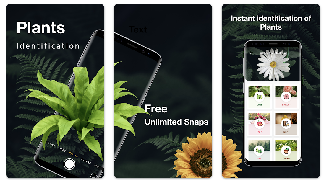 LeafSnap Plant Identification App – My Nile Story
